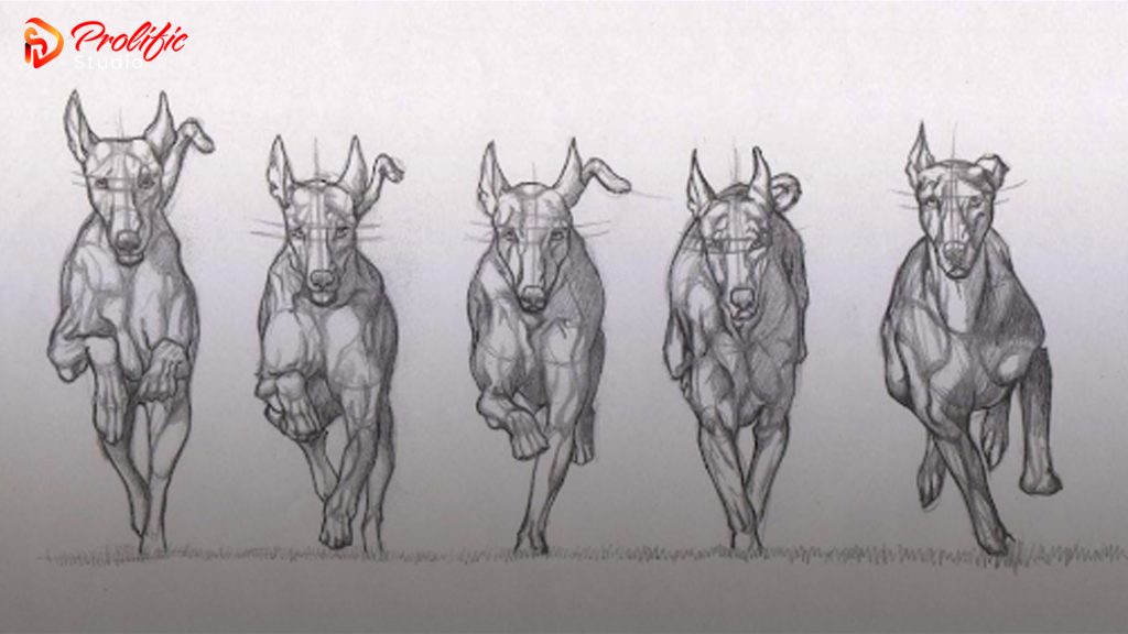 tweening animation Archives - Prolific Studio tweening animation Archives - Prolific Studio