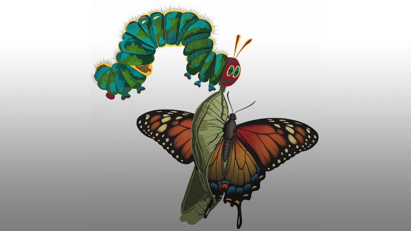 Tweening vs Morphing: Main Differences & When to Use Each